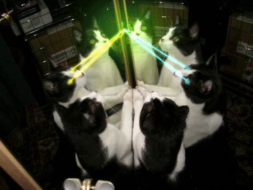 Classical GIF - Find on GIFER