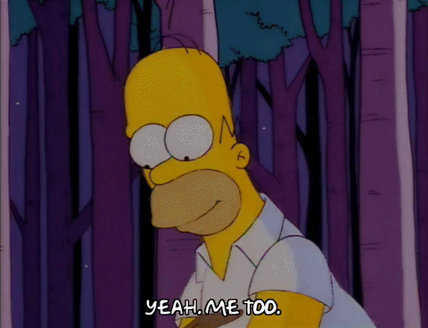 GIF homer simpson season 8 episode 10 - animated GIF on GIFER
