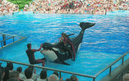 The longest ride GIF - Find on GIFER