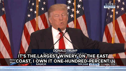 Trump GIF - Find on GIFER