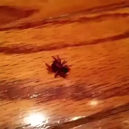 Adios GIF - Find on GIFER