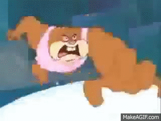 GIF idiots - animated GIF on GIFER