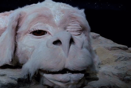 Falcor Gif
