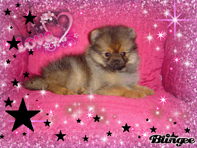 GIF blingee - animated GIF on GIFER