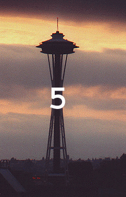 Sorta GIF - Encontrar en GIFER