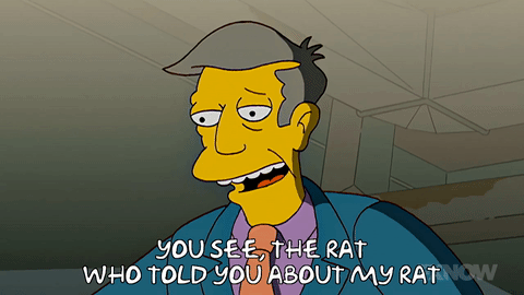 Episode 13 season 19 principal skinner GIF - Find on GIFER
