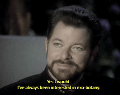 Star trek tng riker GIF - Find on GIFER