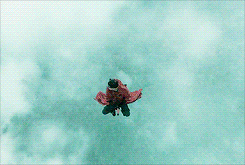 GIF harry potter hp quidditch - animated GIF on GIFER