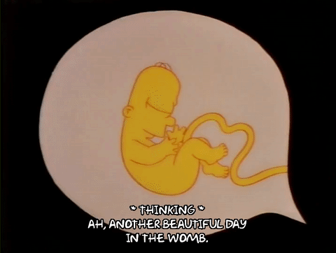 Fetus homer simpson season 4 GIF - Find on GIFER