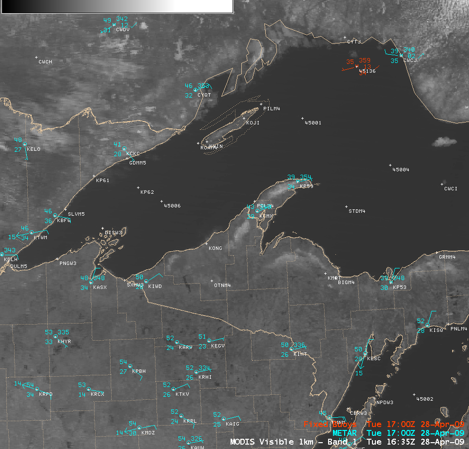 Michigan GIF - Find on GIFER