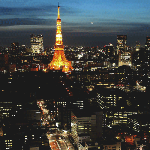 Tokyo GIF - Find on GIFER