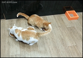 Selfish food GIF on GIFER - by Negami