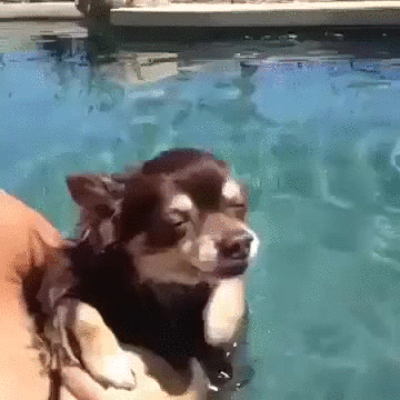 Eye roll vince staples prima donna GIF - Find on GIFER