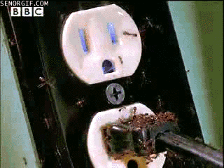 Flames sfmoma beirut GIF - Find on GIFER
