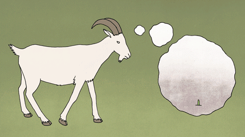 Hop GIF - Find on GIFER