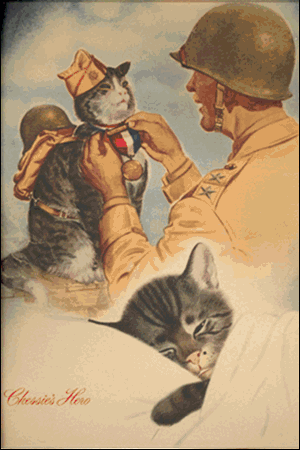 Collection GIF - Find on GIFER