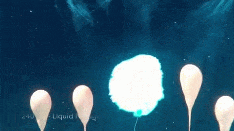 Explosion GIF - Find on GIFER