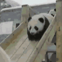 Slide GIF - Find on GIFER