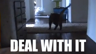 GIF deal with it - animated GIF on GIFER