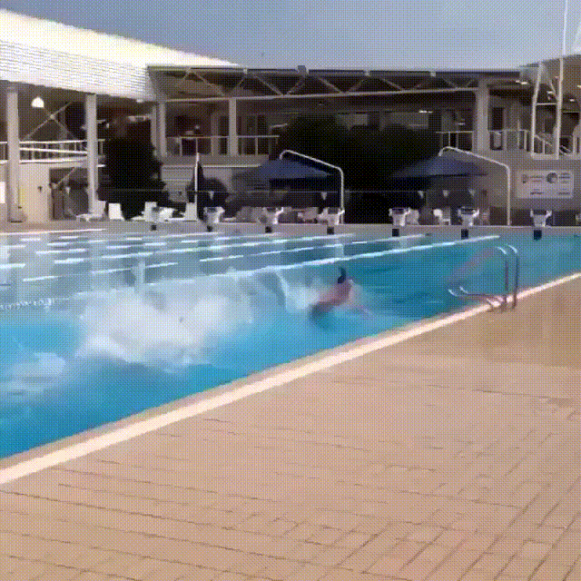 GIF lisa simpson episode 6 season 20 - animated GIF on GIFER