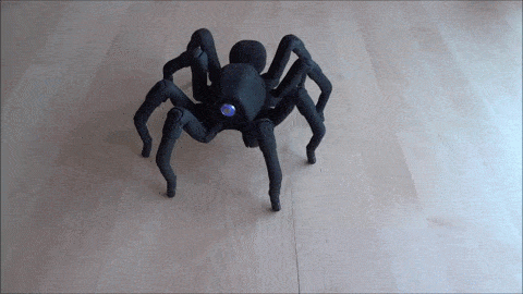 GIF fetch - animated GIF on GIFER