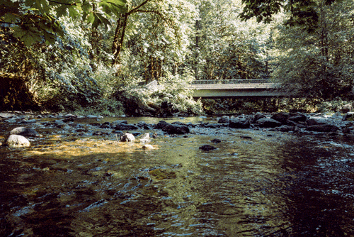 Stream GIF - Find on GIFER