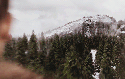 The twilight saga denali GIF - Find on GIFER
