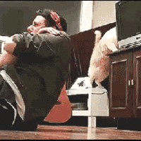 Yeezy GIF - Find on GIFER