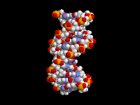 Dna GIF - Find on GIFER