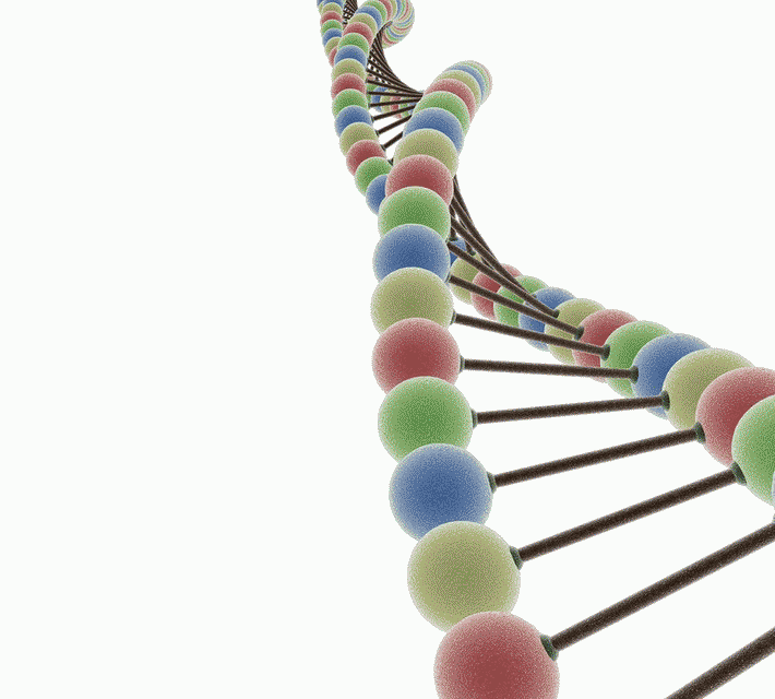 GIF dna - animated GIF on GIFER
