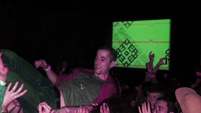 GIF grover - animated GIF on GIFER