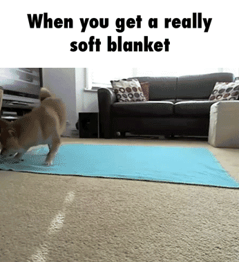 Soft GIF - Find on GIFER