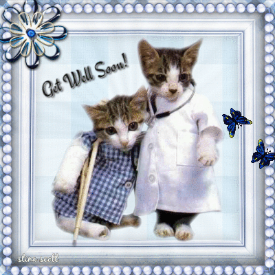 Soon Cat Gif