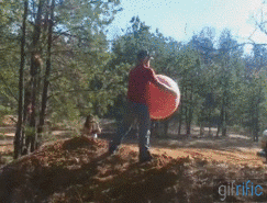 Winning award darwin GIF - Find on GIFER
