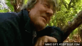 Rare GIF - Find on GIFER