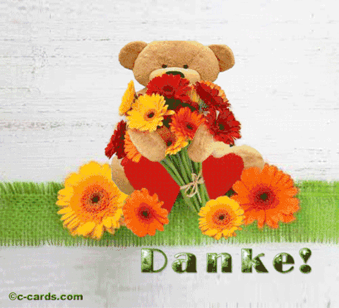 German GIF - Find on GIFER