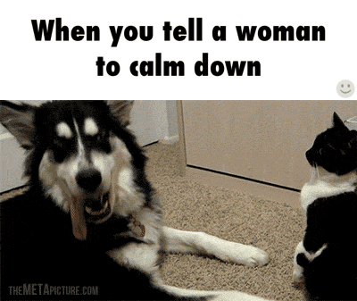 Calm GIF - Find on GIFER