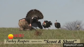 Smelle Panne Gif Bad Smell GIFs | Tenor