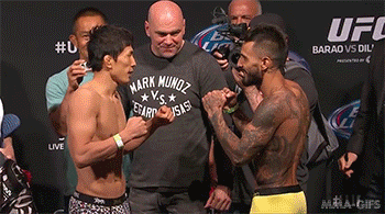 Ufc card GIF - Find on GIFER