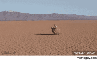 Rover GIF - Find on GIFER