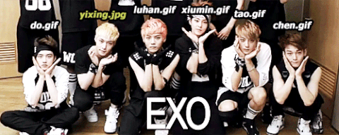 Exo GIF - Find on GIFER