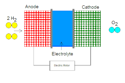 Cell GIF - Find on GIFER