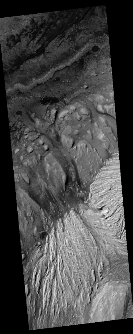 Msl GIF - Find on GIFER