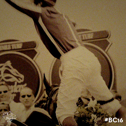 Breeders cup camera panning over the pond GIF - Find on GIFER