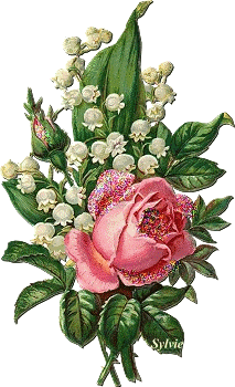 Transparent pretty in pink GIF - Find on GIFER