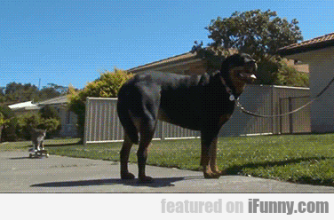 GIF lm - animated GIF on GIFER