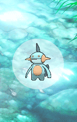 Mudkip pokemon GIF - Find on GIFER