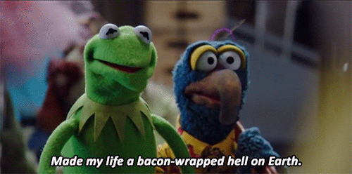 The muppets yahoo tv GIF - Find on GIFER