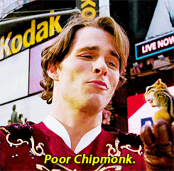 Cat animals attack GIF - Find on GIFER