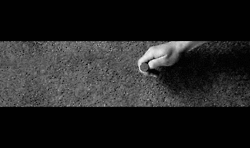 Grayscale GIF - Find on GIFER